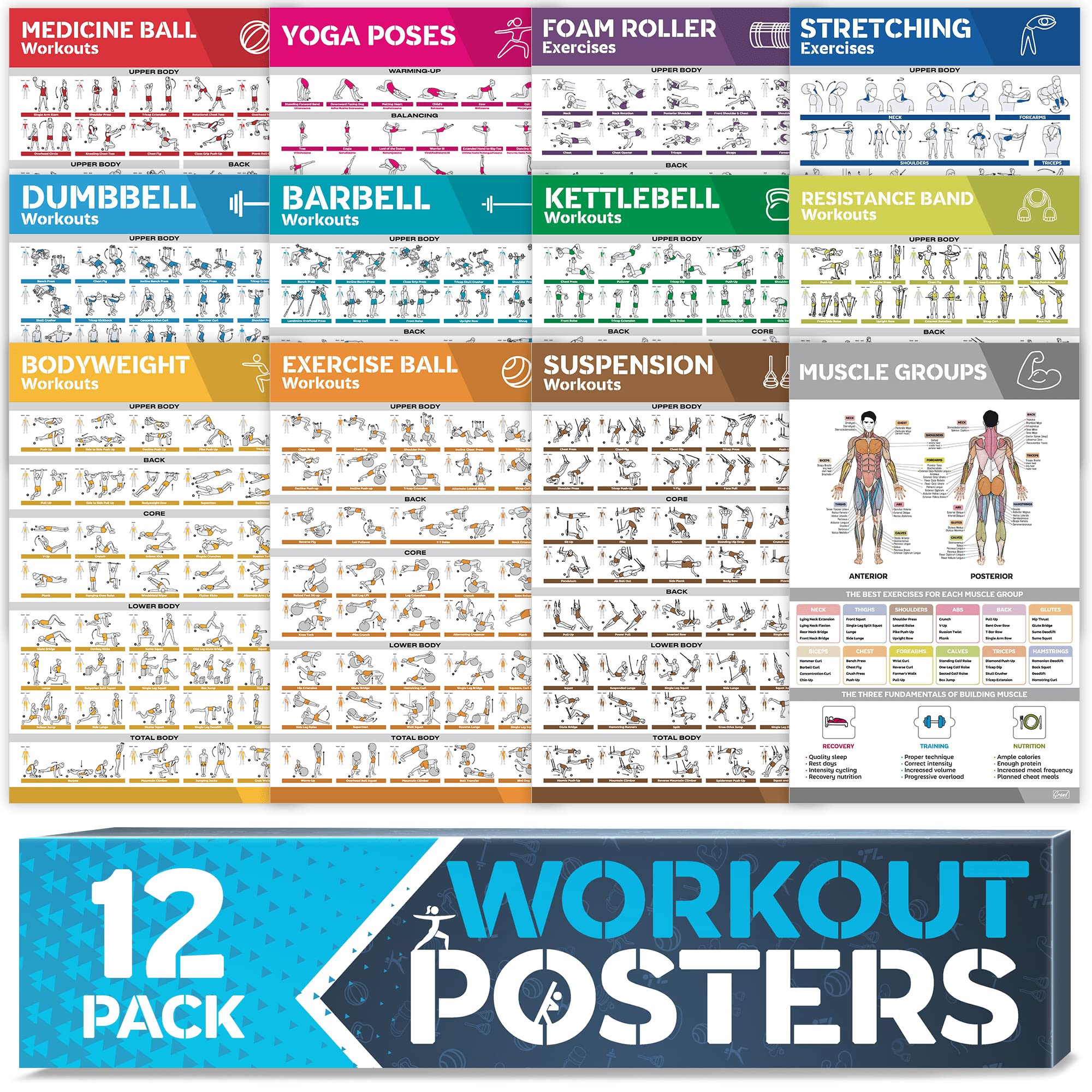 [12-PACK] Laminated Large Workout Poster Set - Perfect Workout Posters for Home Gym - Exercise Charts Incl. Dumbbell, Yoga Poses, Resistance Band, Kettlebell, Stretching & More Fitness Gym Posters