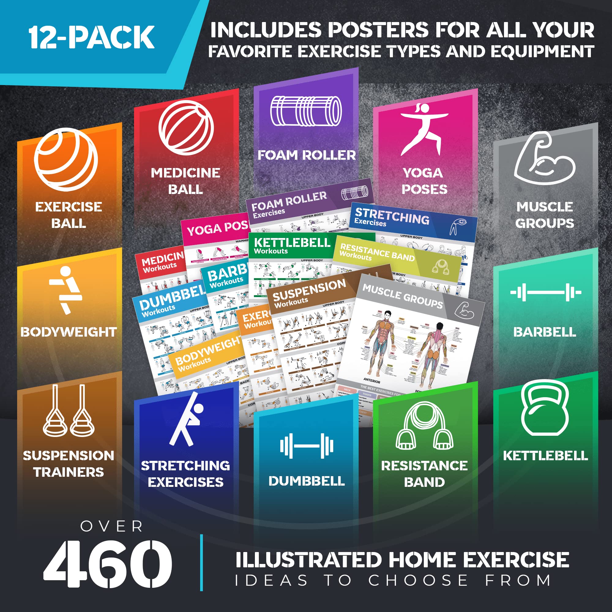 [12-PACK] Laminated Large Workout Poster Set - Perfect Workout Posters for Home Gym - Exercise Charts Incl. Dumbbell, Yoga Poses, Resistance Band, Kettlebell, Stretching & More Fitness Gym Posters