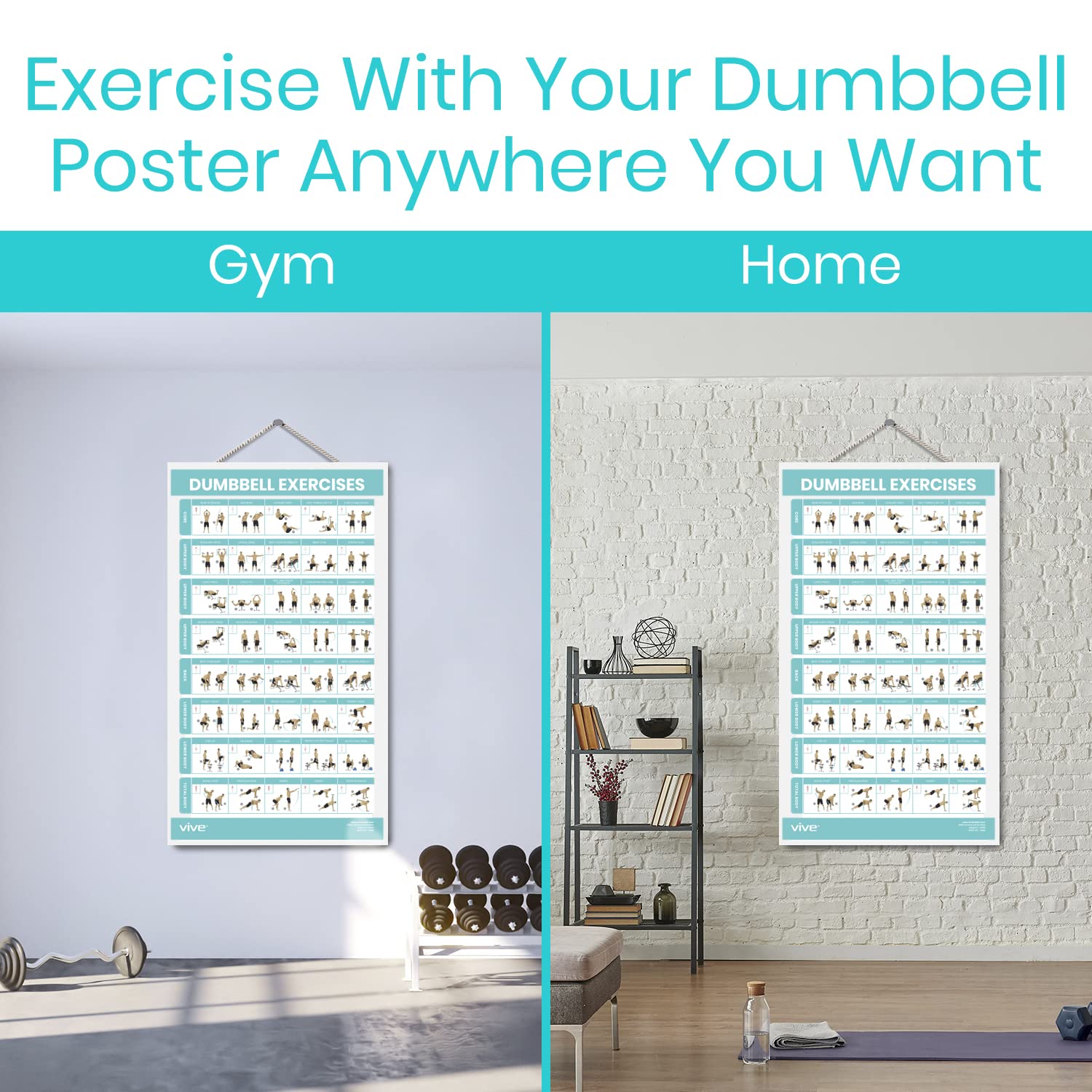 Vive Dumbbell Workout Poster - Home Gym Exercise for Upper, Lower, Full Body - Laminated Bodyweight Chart for Back, Arm, Core and Legs - Free Weight Building Guide For Men, Women, Elderly (30" x 17")