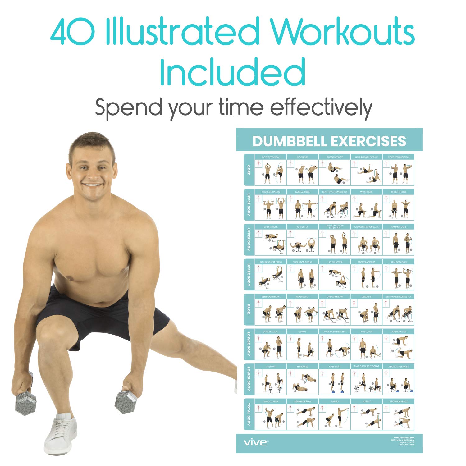 Vive Dumbbell Workout Poster - Home Gym Exercise for Upper, Lower, Full Body - Laminated Bodyweight Chart for Back, Arm, Core and Legs - Free Weight Building Guide For Men, Women, Elderly (30" x 17")