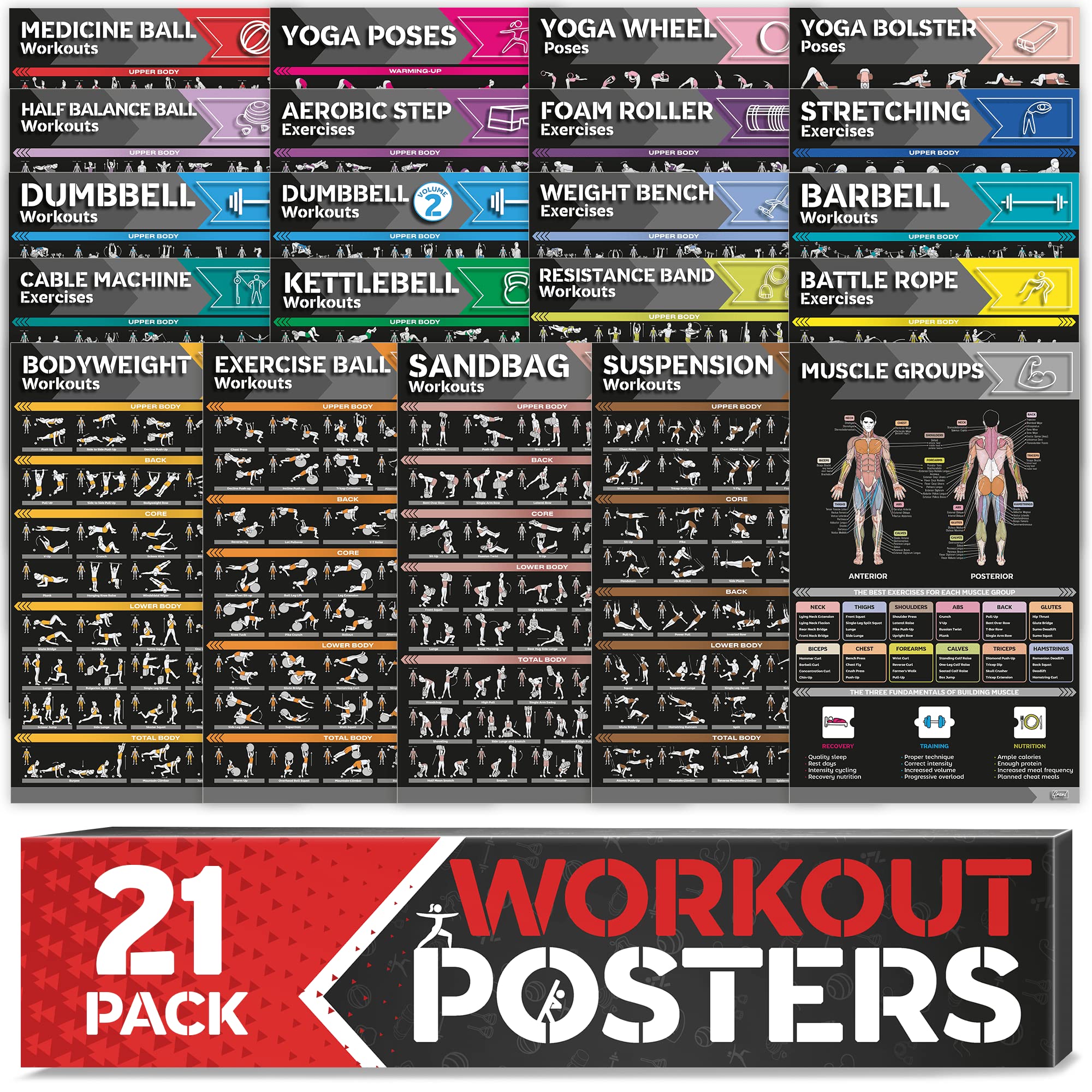 [21-PACK] Laminated Large Workout Poster Set - Perfect Workout Posters for Home Gym - Exercise Charts Incl. Dumbbell, Yoga Poses, Resistance Band, Kettlebell, Stretching & More Fitness Gym Posters