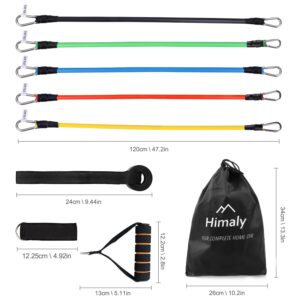 Resistance Bands Set, himaly Exercise Bands Workout Bands with Handles, Door Anchor, Carry Bag, Legs Ankle Straps for Strength Training, Exercise Bands Set for Home Gym Outdoor