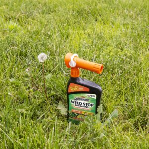 Spectracide Weed Stop For Lawns + Crabgrass Killer Concentrate, 32-oz, 6-PK, Clear