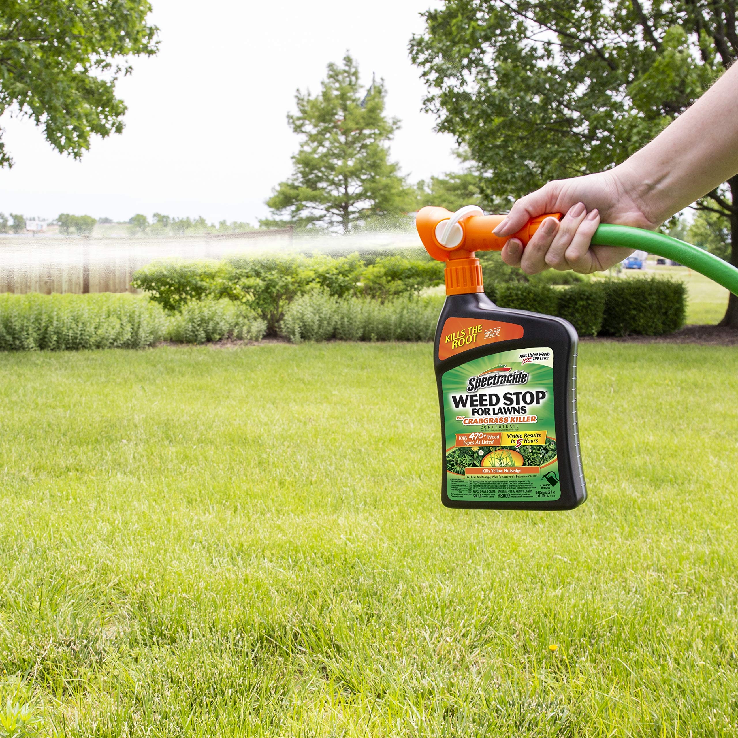 Spectracide Weed Stop For Lawns + Crabgrass Killer Concentrate, 32-oz, 6-PK, Clear