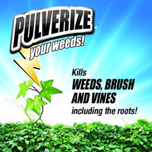 Pulverize PWBV-C-032, Brush Killer Concentrate Fast Acting, Non-Staining Weed Vine, 32 Ounce