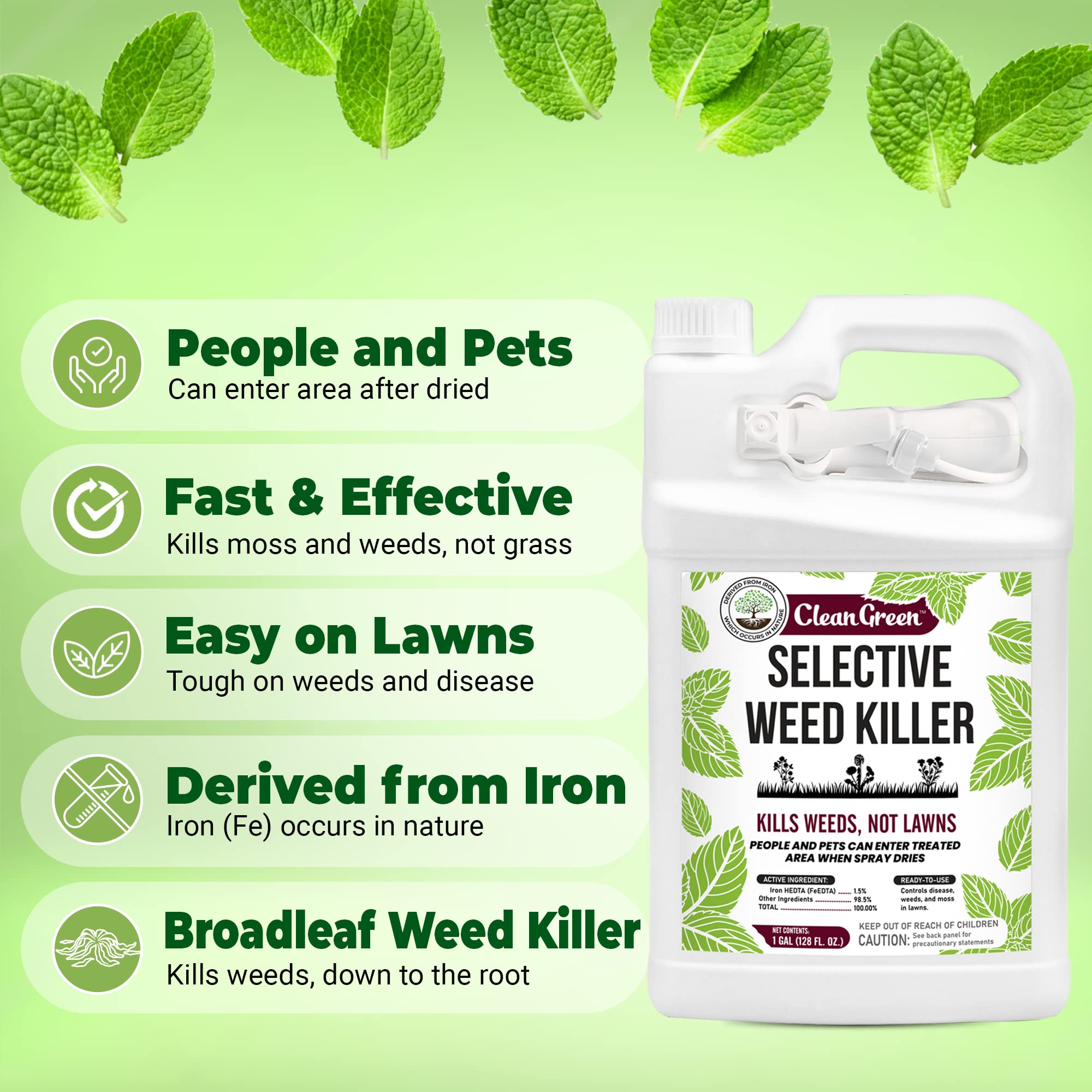 Mighty Mint Clean Green Selective Weed Killer for Lawns - Kills Weeds, Not Grass - 1 Gallon