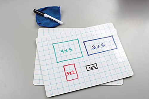 Teacher Created Resources TCR77253 Math Grid Dry Erase Boards, Set of 10, Multi