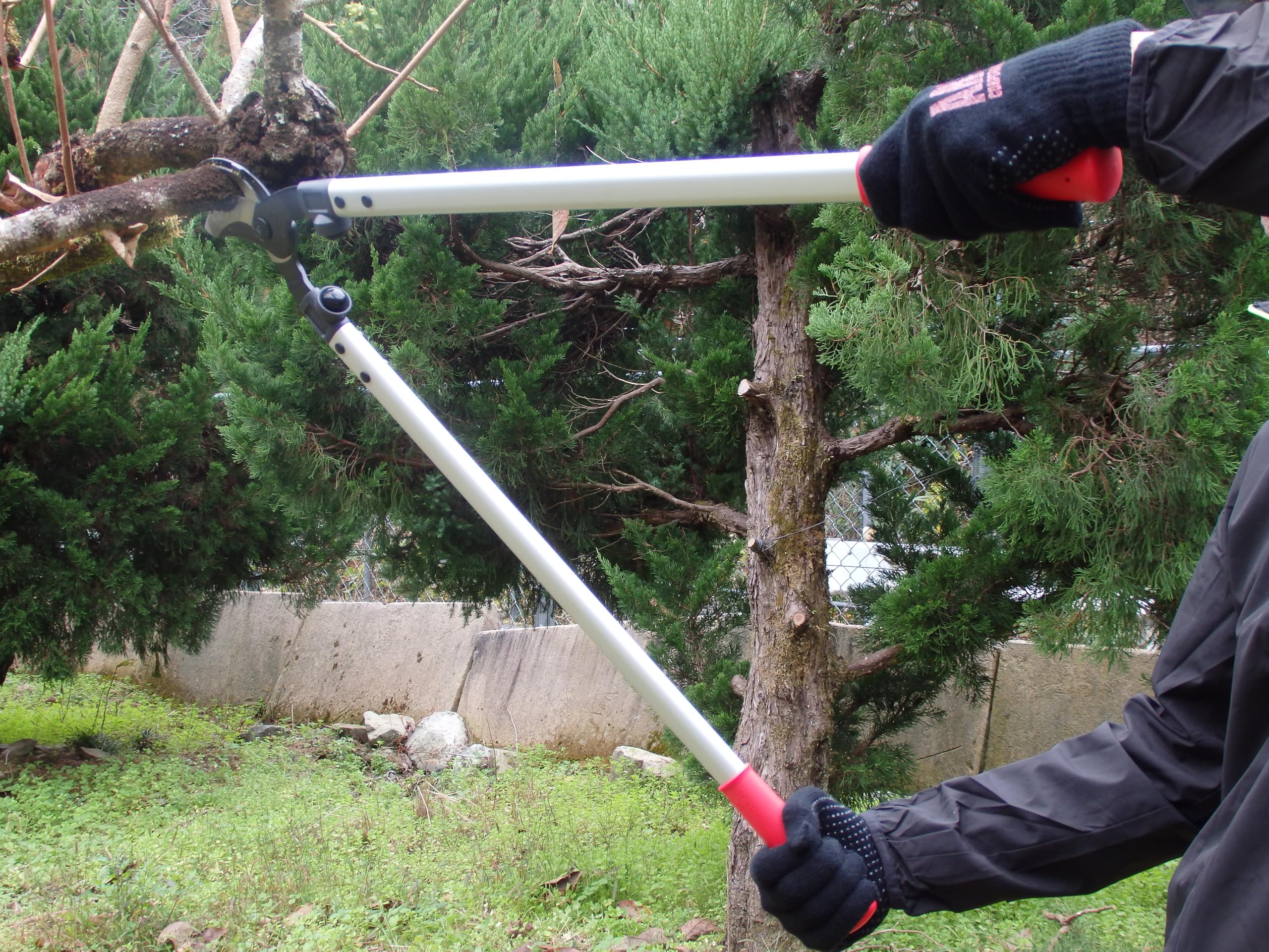 ARS LPB-30L Branch Lopper