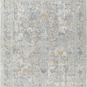 Mark&Day Area Rugs, 9x12 Emili Traditional Light Gray Area Rug, Grey Ivory Green Carpet for Living Room, Bedroom or Kitchen (9' x 12'2")