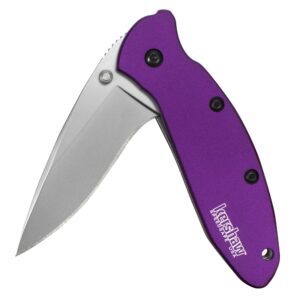 kershaw purple scallion pocket knife, 2.25” stainless steel blade with assisted opening, aluminum handle with single-position pocketclip, small folding knife