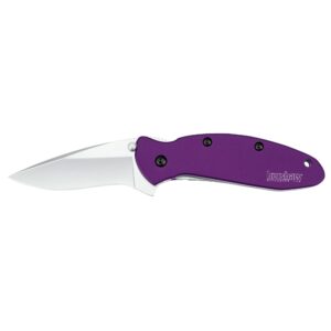 Kershaw Purple Scallion Pocket Knife, 2.25” Stainless Steel Blade with Assisted Opening, Aluminum Handle with Single-Position Pocketclip, Small Folding Knife