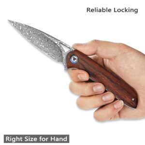 TRIVISA Handmade Folding Hunting Knife，3.5in 110 Layers Damascus Steel Liner Lock Rosewood Handle with Deep Carry Pocket Clip&Titanium Pivot Ring,Thumb Hole Flipper Opener with Ceramic Ball Bearing EDC Knives for Men，Sgr-01