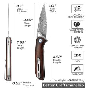 TRIVISA Handmade Folding Hunting Knife，3.5in 110 Layers Damascus Steel Liner Lock Rosewood Handle with Deep Carry Pocket Clip&Titanium Pivot Ring,Thumb Hole Flipper Opener with Ceramic Ball Bearing EDC Knives for Men，Sgr-01