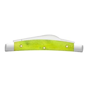 Case xx Knives Small Congress Green Apple Bone 53032 Stainless Pocket Knife