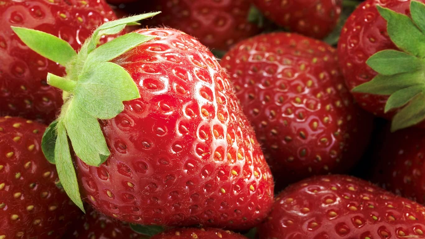 CEMEHA SEEDS - Giant Strawberry Fresca Everbearing Berries Indoor Non GMO Fruits for Planting