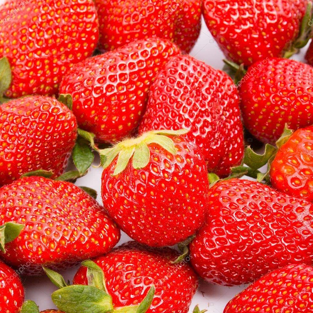 CEMEHA SEEDS - Giant Strawberry Fresca Everbearing Berries Indoor Non GMO Fruits for Planting