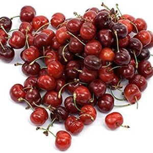 30 Bonsai Dwarf Cherry Tree Seeds | Indoor or Outdoor Fruit Tree | Made in USA, Ships from Iowa