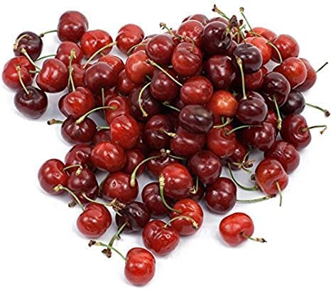 30 Bonsai Dwarf Cherry Tree Seeds | Indoor or Outdoor Fruit Tree | Made in USA, Ships from Iowa