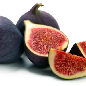 Fig Trees "Black Mission" includes Four (4) Live Plants