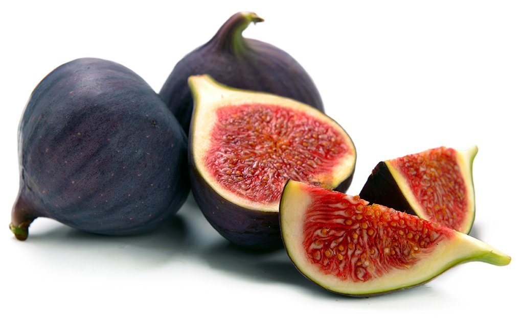 Fig Trees "Black Mission" includes Four (4) Live Plants