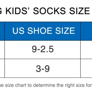 BERING Kids' Athletic Cushioned Ankle Socks 6 Pairs Low Cut Tab for Youth Boys Girls