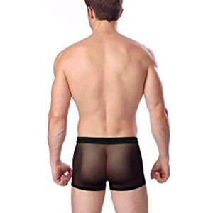 Evankin Men's Sexy Mesh Boxer Briefs Transparent Lingerie Black Mesh Transparent Bulge Pouch Valentines Underwear(45Black,XXL)