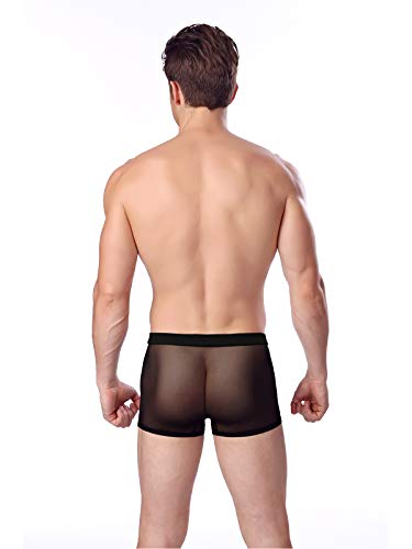 Evankin Men's Sexy Mesh Boxer Briefs Transparent Lingerie Black Mesh Transparent Bulge Pouch Valentines Underwear(45Black,XXL)