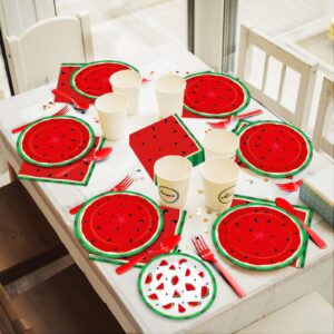 gisgfim 96 Pcs Watermelon Party Supplies Paper Plates Napkins Watermelon Tableware Set Watermelon Party Decorations Favors for Children's Melon Birthday Baby Shower Serves 24