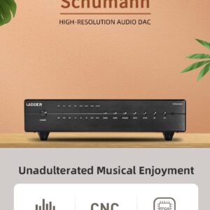 Ladder Schumann DAC HiFi USB DSP Coaxial Opt AES Resolution Audio Decoder