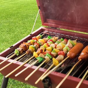 Portable Charcoal Grill Mini Small BBQ Smoker Grill for Outdoor Cooking Camping Picnic Patio Backyard Separated Large BBQ Space,Green,42 * 37cm