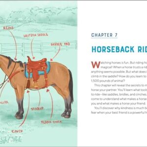 All About Horses: A Kid's Guide to Breeds, Care, Riding, and More!