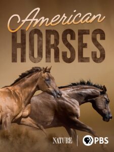 american horses