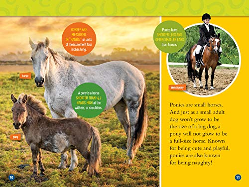 National Geographic Readers: Gallop! 100 Fun Facts About Horses (L3)