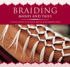 braiding manes and tails: a visual guide to 30 basic braids