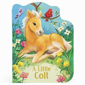 a little colt: a baby horse board book story