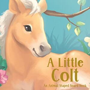 A Little Colt: A Baby Horse Board Book Story