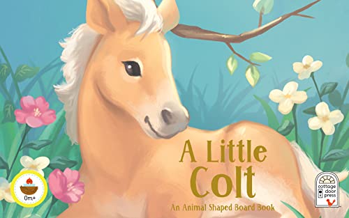 A Little Colt: A Baby Horse Board Book Story