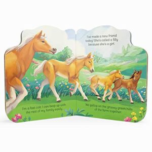 A Little Colt: A Baby Horse Board Book Story