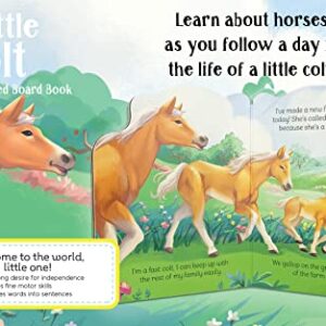 A Little Colt: A Baby Horse Board Book Story