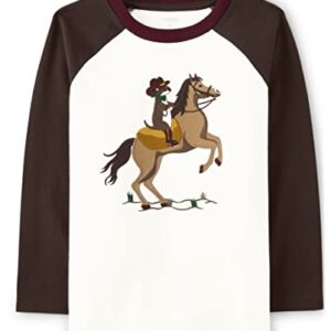 Gymboree Boys and Toddler Embroidered Graphic Long Sleeve Raglan T-Shirts, County Horse, 5T