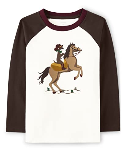 Gymboree Boys and Toddler Embroidered Graphic Long Sleeve Raglan T-Shirts, County Horse, 5T