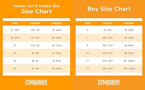 Gymboree Boys and Toddler Embroidered Graphic Long Sleeve Raglan T-Shirts, County Horse, 5T