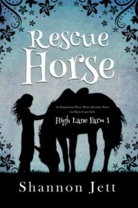 rescue horse (high lane farm)