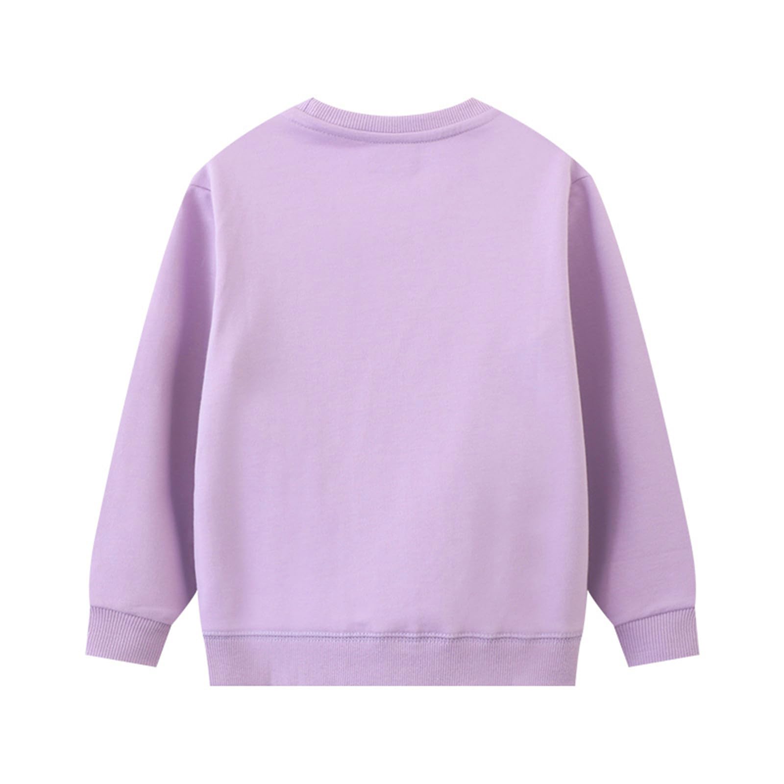 HILEELANG Kids Girl Sweatshirts Purple Unicorn Applique Cotton Casual Long Sleeve Tops Christmas Sweater Shirts 4T