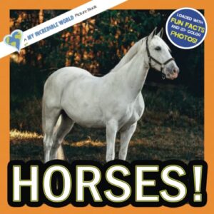 horses!: a my incredible world picture book for children (my incredible world: nature and animal picture books for children)