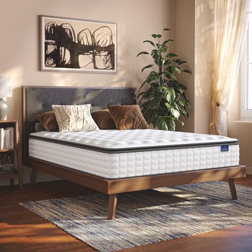 Vesgantti Queen Mattresses, 10 Inch Hybrid Queen Size Mattress in a Box, Pillow Top Queen Bed Mattress, Gel Memory Foam Pocket Coils Innerspring Mattresses, Pressure Relief, Medium Firm Plush Feel