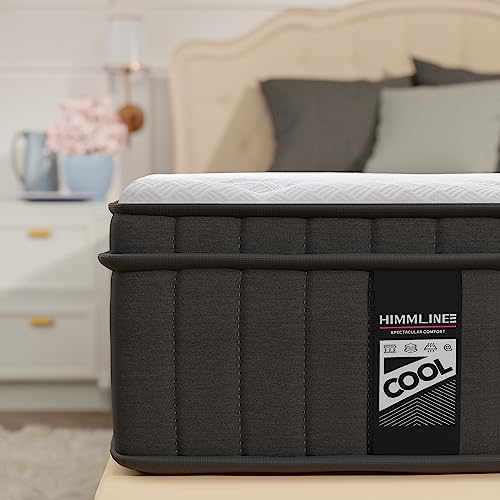 HIMMLINE Queen Mattress, 10 Inch Hybrid Mattress, Gel Memory Foam and Pocket Spring Queen Bed Mattress in a Box, Medium Feel, Cooler Sleep & Pressure Relief, 60”*80”, 120 Nights Risk-Free Trial