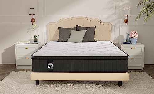 HIMMLINE Queen Mattress, 10 Inch Hybrid Mattress, Gel Memory Foam and Pocket Spring Queen Bed Mattress in a Box, Medium Feel, Cooler Sleep & Pressure Relief, 60”*80”, 120 Nights Risk-Free Trial