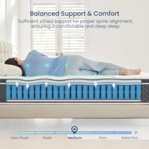 Beaullnuit Queen Mattress,12 Inch Hybrid Mattress in a Box, Memory Foam with Pocket Springs for Pressure Relief and Motion Isolation,Medium Firm Mattress,CertiPUR-US Certified,120 Night Trial