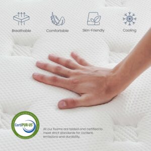 Beaullnuit Queen Mattress,12 Inch Hybrid Mattress in a Box, Memory Foam with Pocket Springs for Pressure Relief and Motion Isolation,Medium Firm Mattress,CertiPUR-US Certified,120 Night Trial